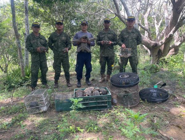 Fotos | Así fue el rescate de un oso perezoso, 28 tortugas y 49 aves en ...