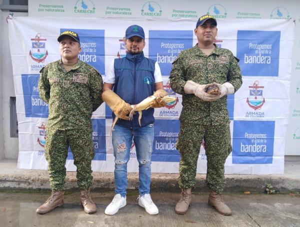 Fotos | Así fue el rescate de un oso perezoso, 28 tortugas y 49 aves en ...