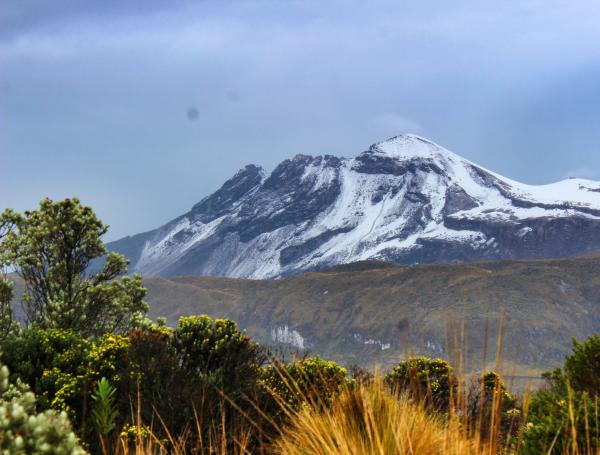 Parque Los Nevados revela detalles del guía de excursión en la que ...