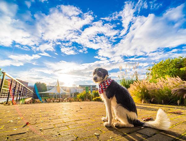 Centro Chía, un ejemplo de sostenibilidad y desarrollo