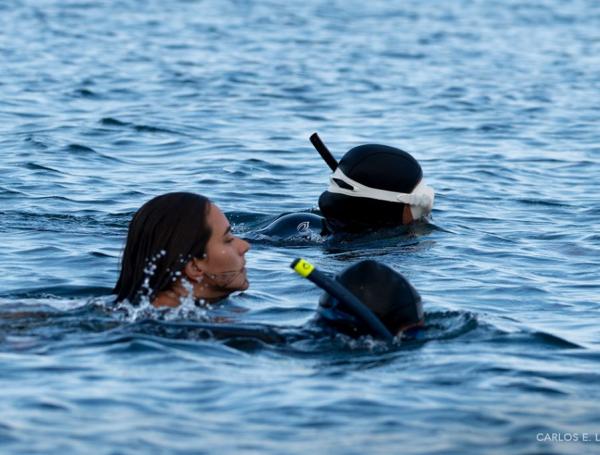 Llega a salas ‘Choibá: la danza de la ballena Yubarta’, un viaje junto ...