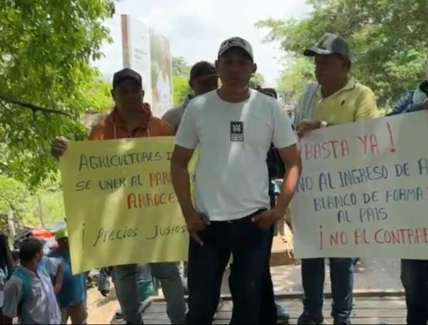 El drama de los arroceros que claman por ayuda del Gobierno, están ...