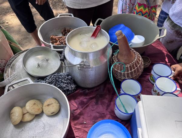 La Guajira a través de sus raíces: una inmersión en la cultura, el ...