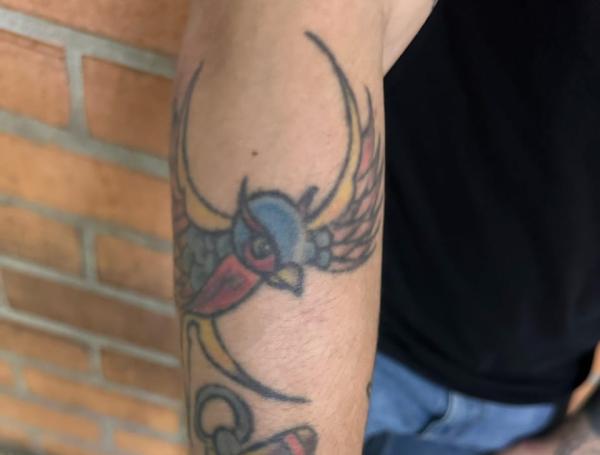 La vida de lujos que llevaba en Medellín alias El Tatuado, presunto ...