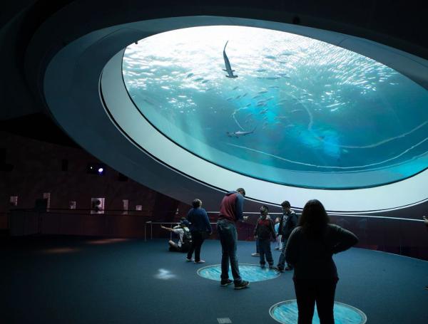 Regresan los meses de museos en Miami con diversas actividades ...