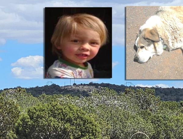 Tiene 2 años, se perdió y pasó la noche solo en el desierto de Arizona ...