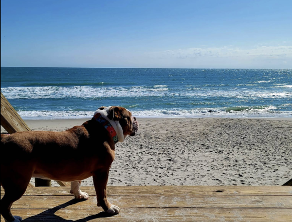 La playa de Florida que fue elegida entre las 4 mejores de su tipo en ...