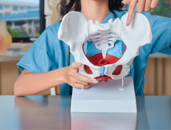 Experta advierte que estar sentado más de 6 horas diarias puede provocar disfunción del suelo ...