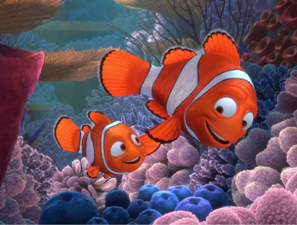 El dato científicamente comprobado sobre 'Buscando a Nemo' que deja a ...