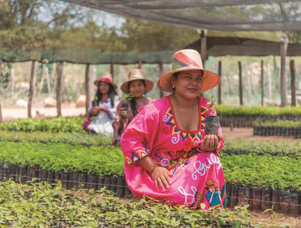 El Cerrejón transfirió $895 mil millones en regalías al Gobierno en ...