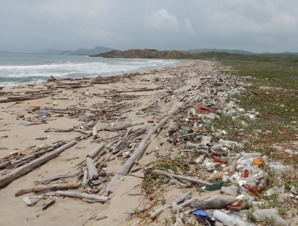 Alarmante diagnóstico en playas vírgenes del Caribe colombiano: están ...