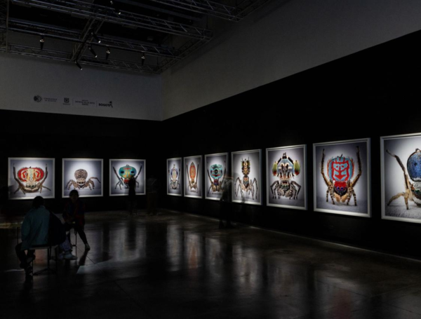 María Fernanda Cardoso expone su arte sobre las maravillas del mundo ...