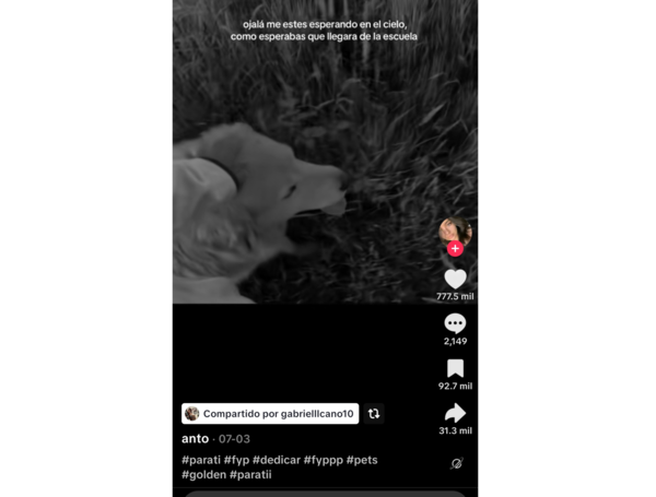 Los preocupantes mensajes que dejó Gabriel Eduardo Cano, el joven que ...