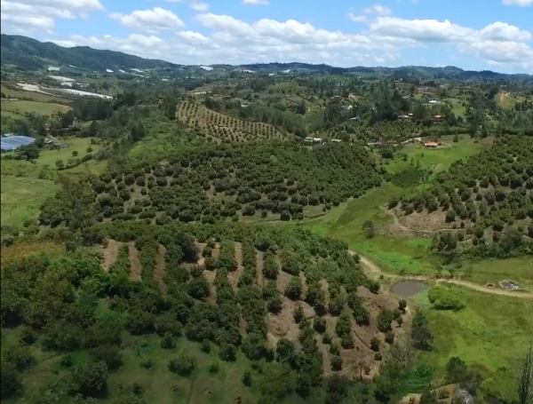 Antioquia: duro choque entre el gobernador de Antioquia y MinAgricultura por las APPA