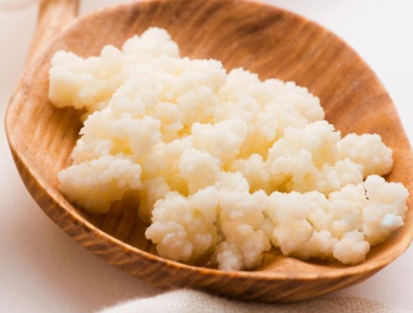 Búlgaros de kéfir: qué son, cómo funcionan, beneficios para la salud y ...