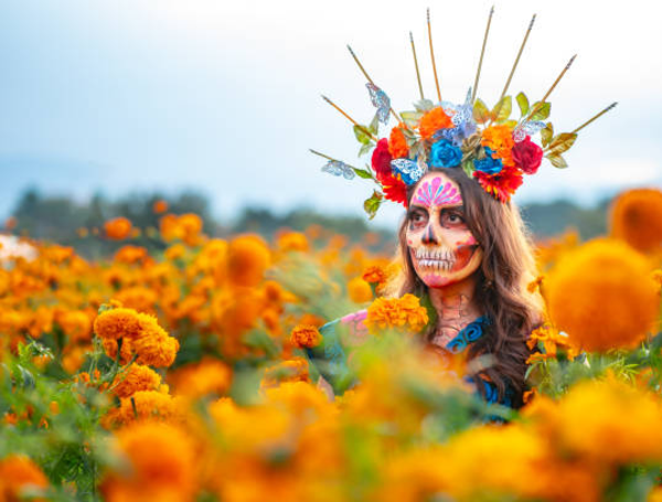 Cempasúchil, la ‘flor de muertos’ mexicana que es más que un adorno ...