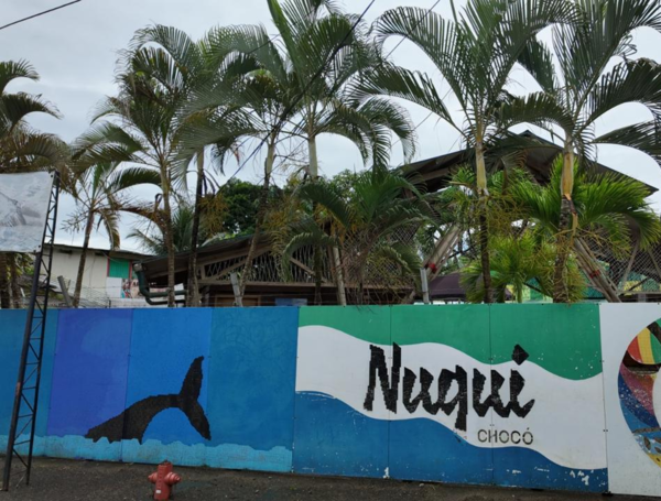 Satena inaugura nueva ruta entre Bogotá y Nuquí con vuelos dos veces ...