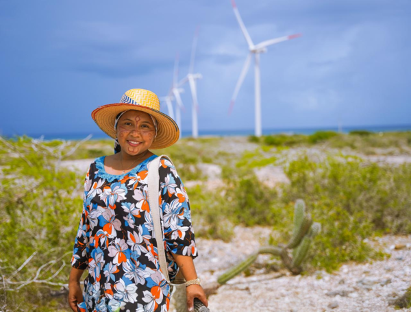 Gobierno lanza vía decreto la Licencia Ambiental Eólica con Diseño Optimizado, un nuevo modelo ...