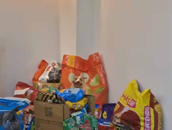 Solicitó la eutanasia y en lugar de flores en su funeral pidió comida ...