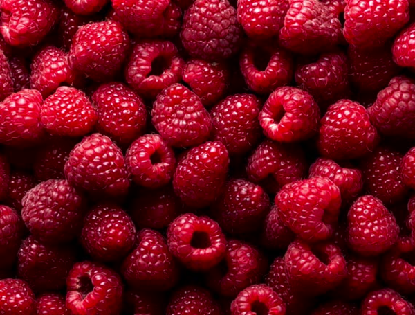 El mensaje que habría enviado Zulma Guzmán tras ser acusada de la ...