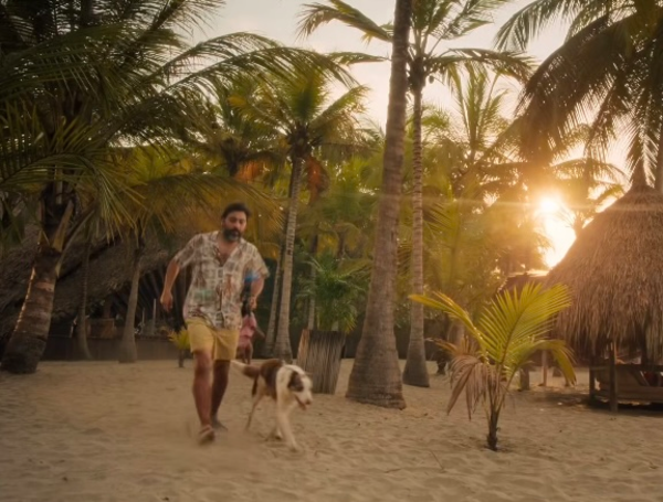 ‘El Paseo 8’: la tradición que se niega a irse… y menos en diciembre