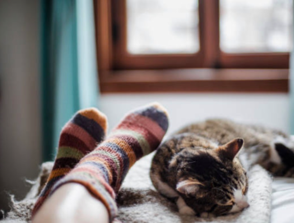 ¿Para qué sirve dejar una prenda de vestir con su olor donde duerme el ...