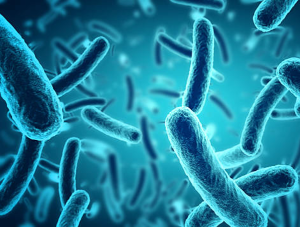 Bacterias de 5.000 años en cueva de hielo muestran resistencia a 10 ...