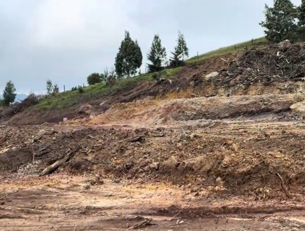 Minería ilegal devastó suelo y vegetación en Chocontá, Cundinamarca ...