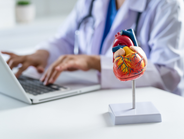 ¿Puede el corazón sentir lo que vivimos? Un cardiólogo explica su ...