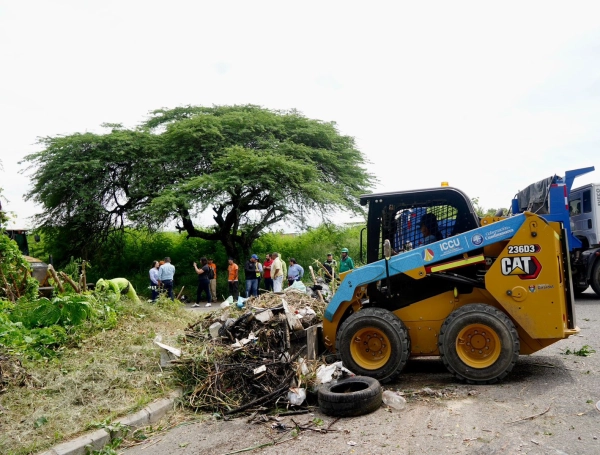 Tras avistamiento de una nutria neotropical, CAR Cundinamarca ...