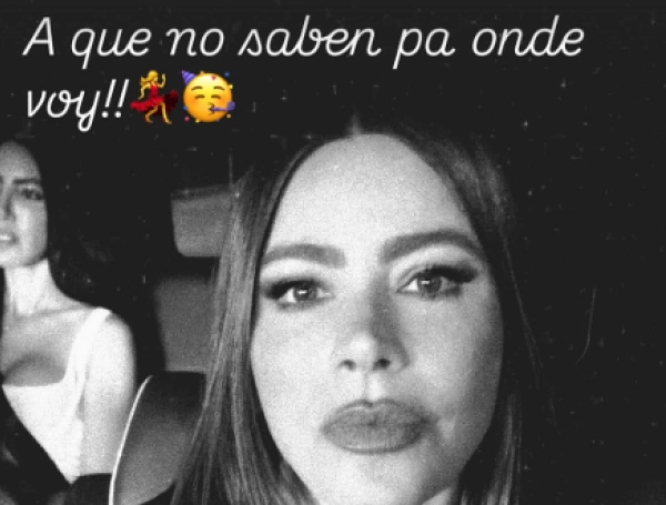 Video | Sofía Vergara asistió al concierto de Shakira y vivió un ...