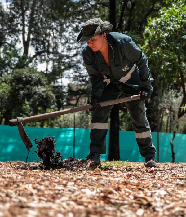 Parque Nacional de Bogotá reabrirá en diciembre para Navidad