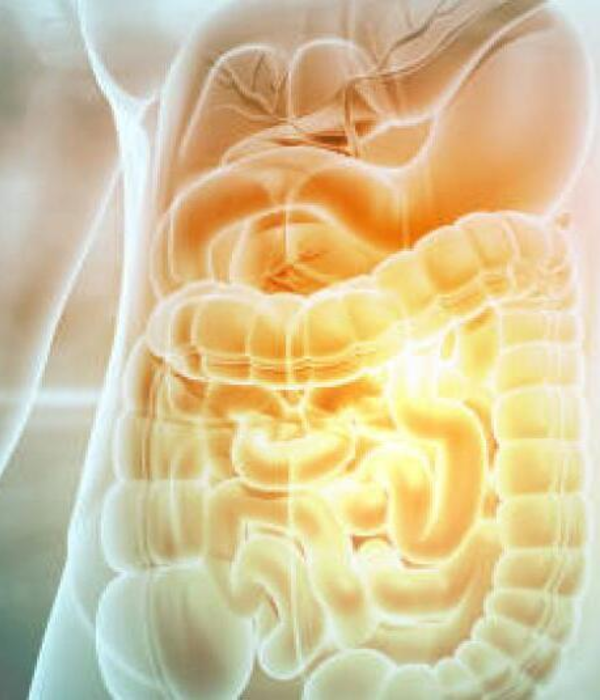 'La microbiota no se mantiene con probióticos': experta en salud ...