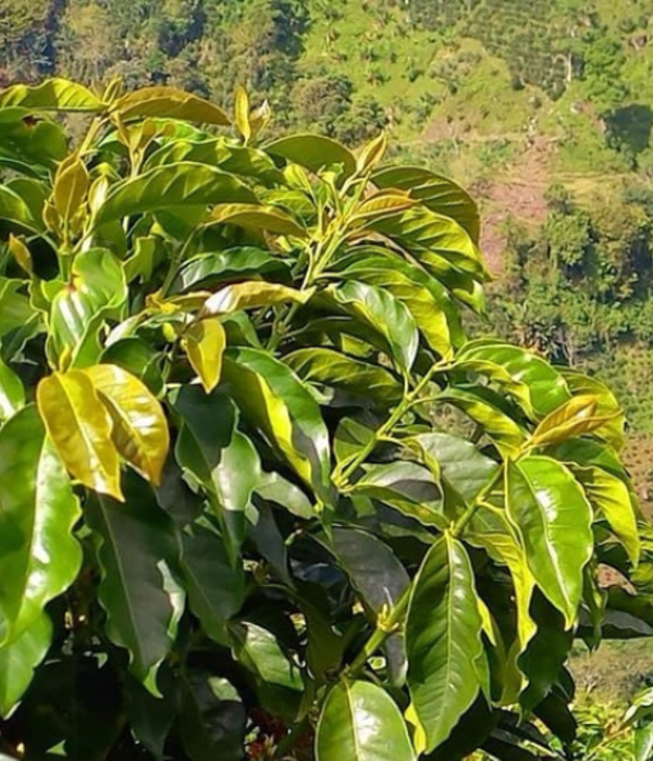Este es el pequeño pueblo conocido como el ‘mirador de Antioquia ...