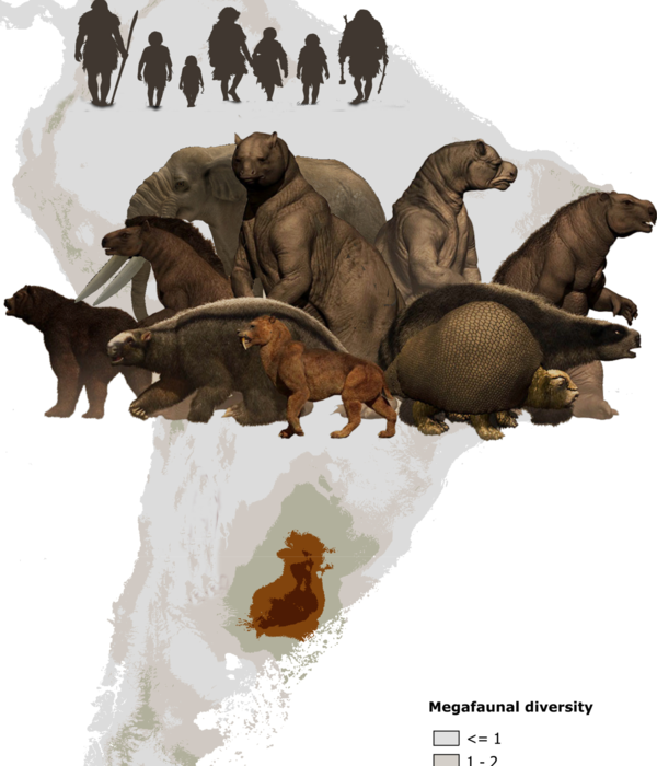 Los primeros humanos en Sudamérica cazaban megafauna como presa ...