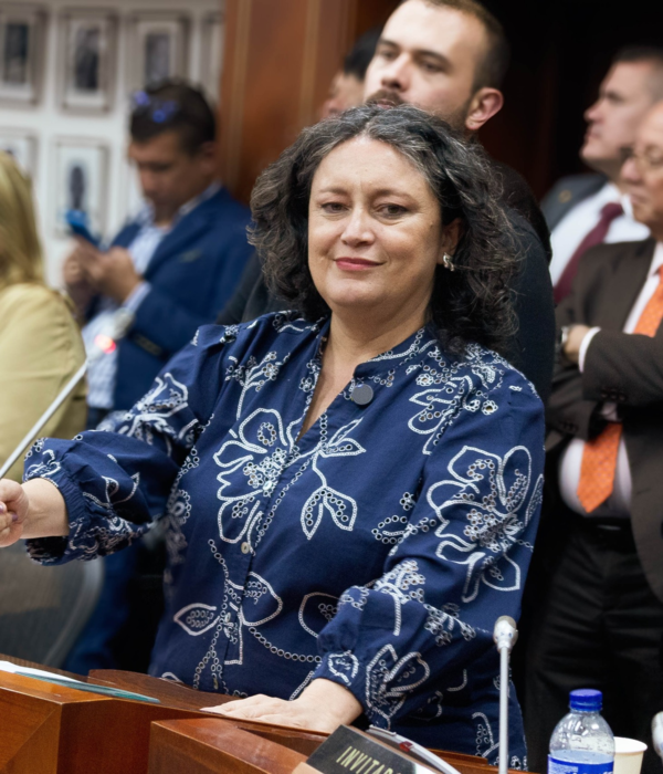 Así quedó la lista al Senado de Alianza Verde y En Marcha: Lucho Garzón ...