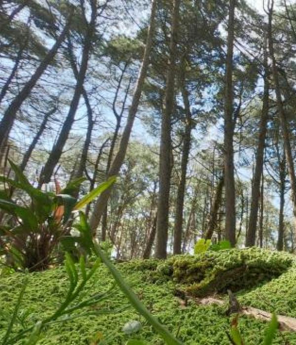 Medellín: La grave situación financiera que tiene ahogado al Parque Arví