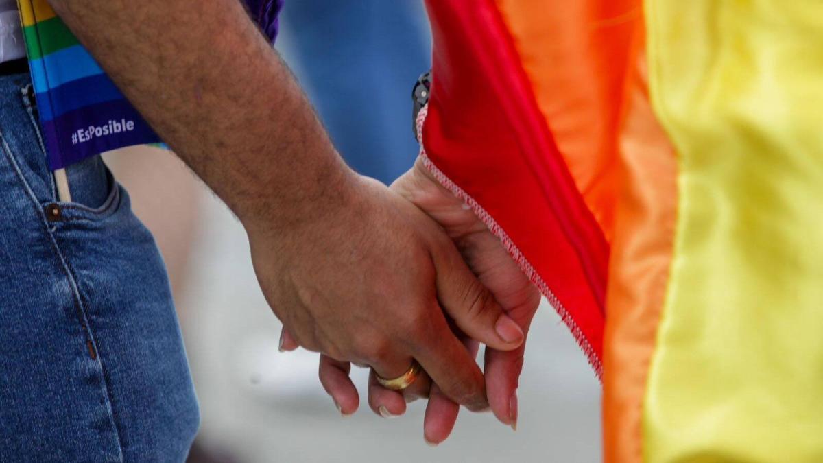 Parejas homosexuales podrán legalizar igualdad de condiciones su unión libre en Bolivia