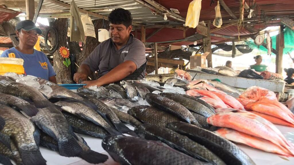 En vísperas de Semana Santa, estos son los productos pesqueros que más ...