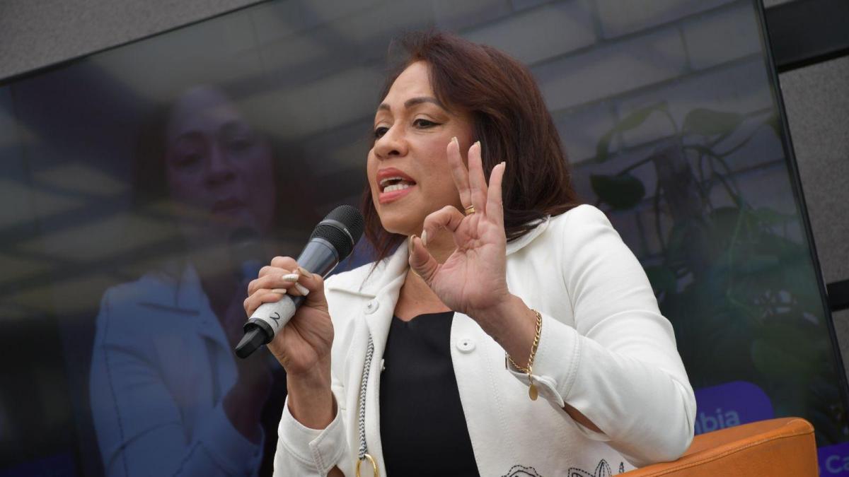 CNE revocó la candidatura de Marelen Castillo en la lista al Senado del ...