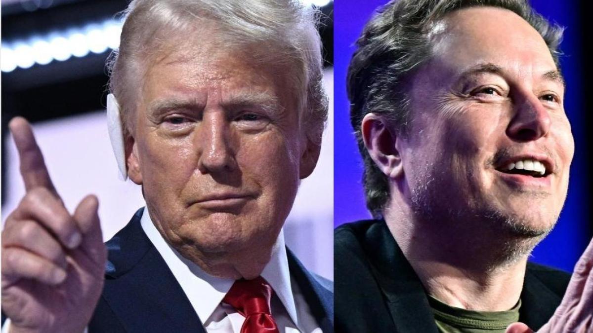 Regalo de un millón de dólares de Elon Musk a votantes de Donald Trump ...