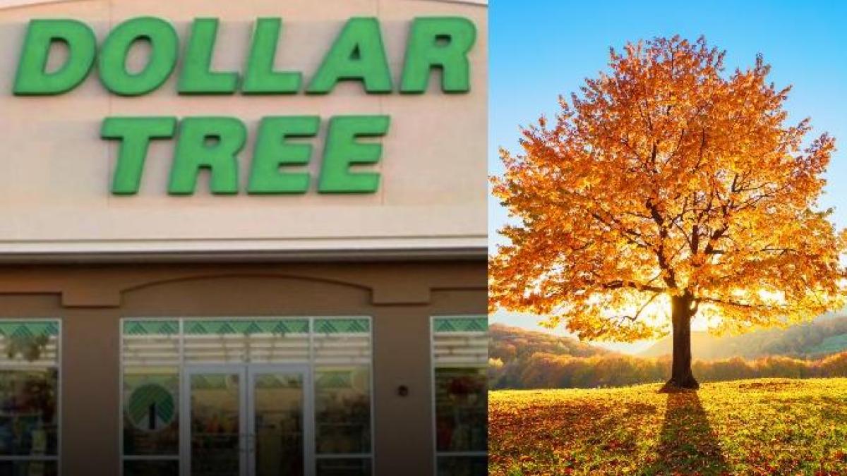 Este producto de Dollar Tree se consigue a U$S3 y es ideal para el otoño