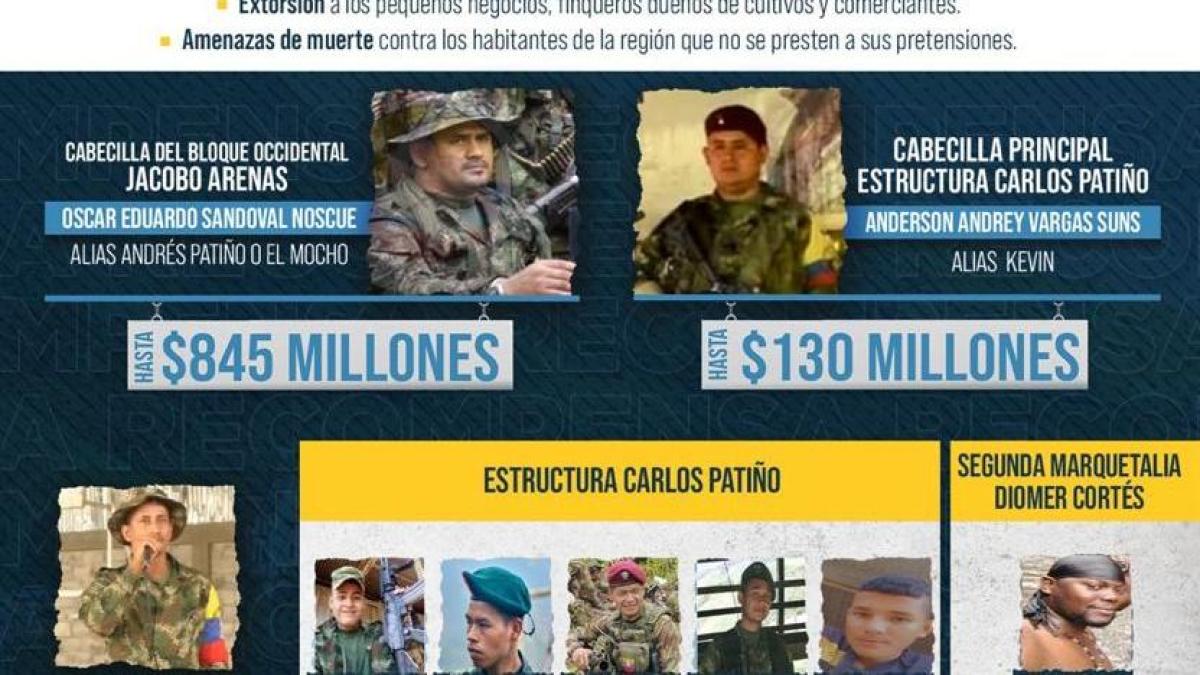 De guerrillero raso a jefe de frente: él es 'Kevin', jefe de las ...