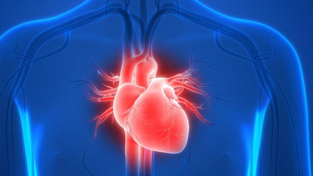 Los siete 'enemigos' mortales del corazón: ¿cuál de estos hábitos ...