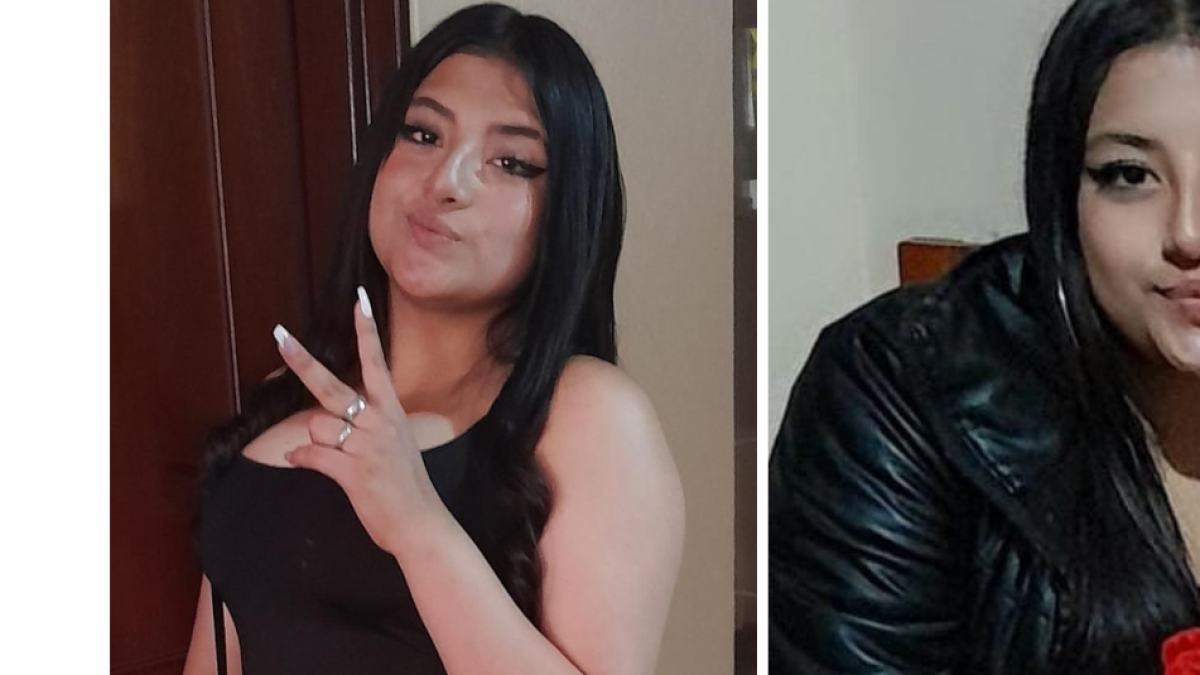 Habla la mamá de Sara Jiménez, niña desaparecida en Bogotá: 'La fui a ...