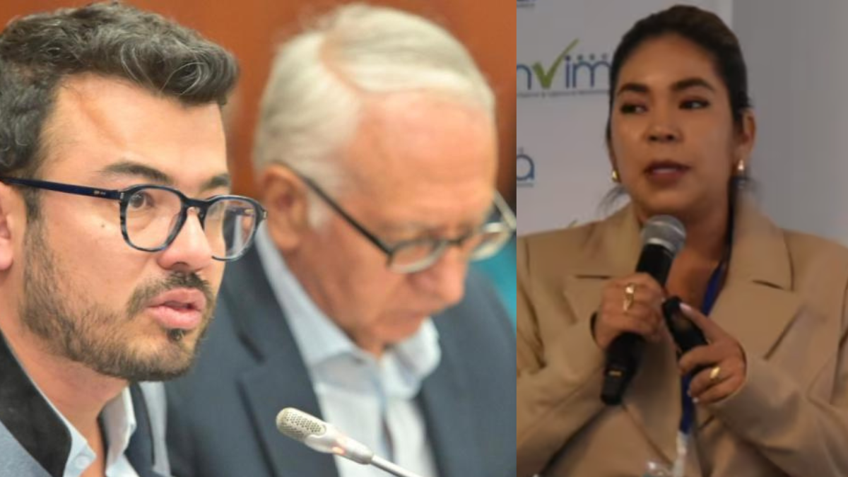 ¿Quién es Diana Marcela Pava? La funcionaria sería la nueva directora ...