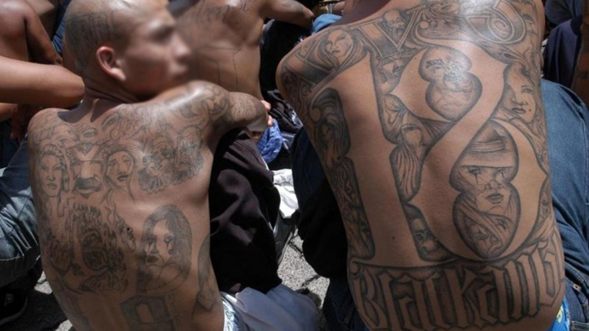 Estados Unidos anuncia la detención de líder de la pandilla MS-13 ...