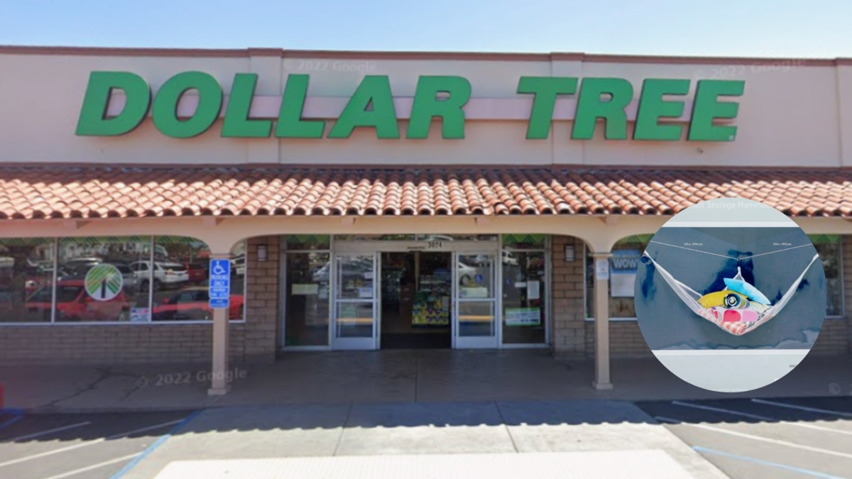 Dollar Tree vende por 1 dólar un artículo de almacenamiento que todos ...