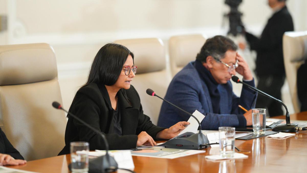 ¿Quién es Angie Rodríguez, directora del Dapre que ministra Buitrago ...