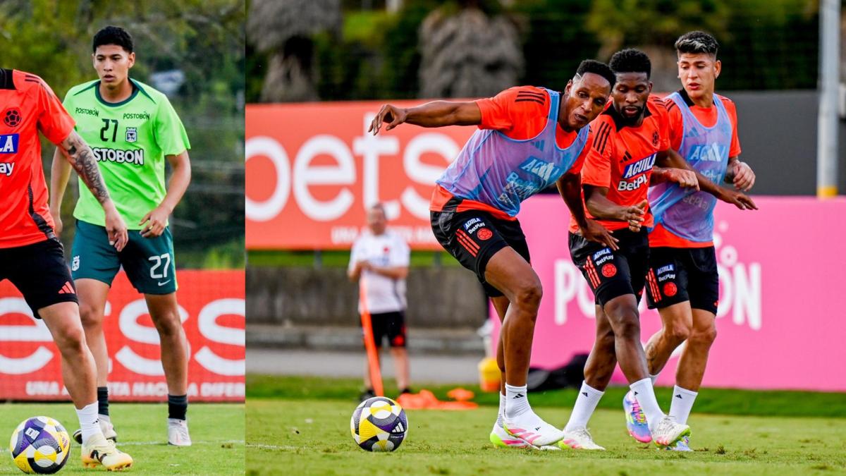 Selección Colombia: siete suplentes, las novedades de la convocatoria ...